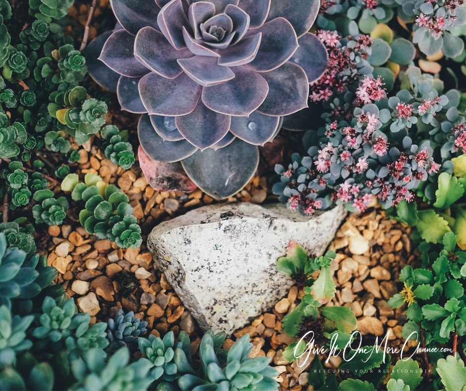 Find the Time - Ginger M. Sullivan